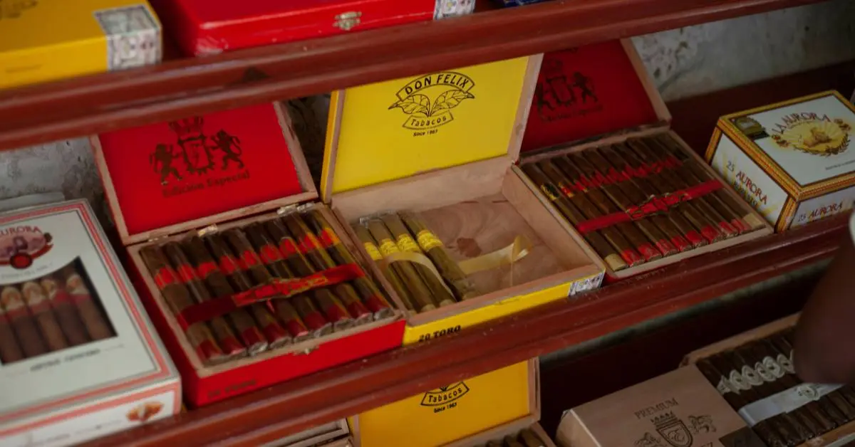 Best Tobacco Payment Processing Tools: 5 Solutions for 2025